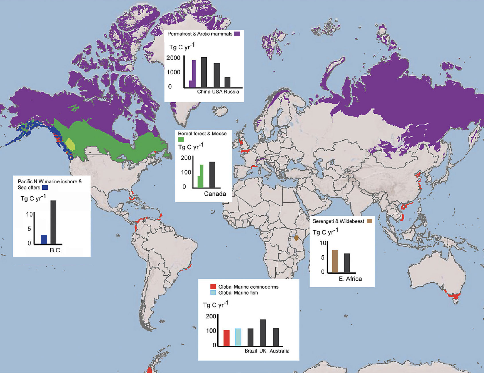 Global Rewilding Alliance | Animating the Carbon Cycle through Rewilding | One Earth